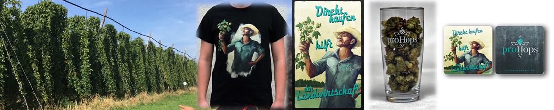 Buy hops directly from the producer